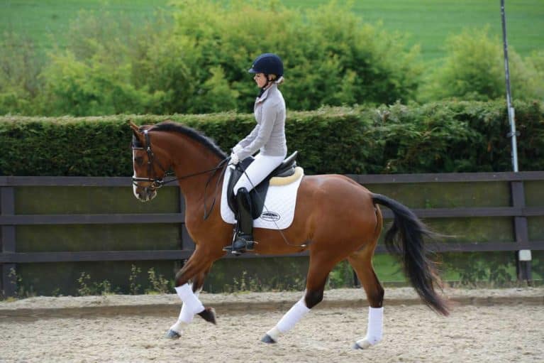 Getting the right canter lead | Striking off correctly | Horse and Rider Getting the right canter lead | Striking off correctly | Horse and Rider